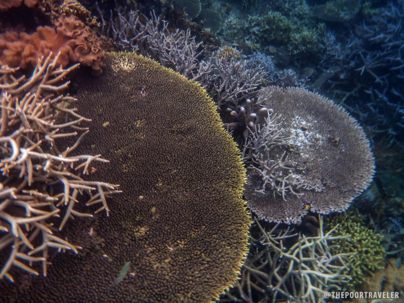 CULION: TOURS AND ATTRACTIONS — Palawan Island