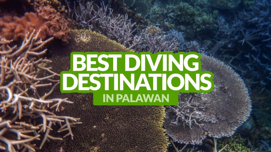 Best Diving Sites in Palawan — Palawan Island